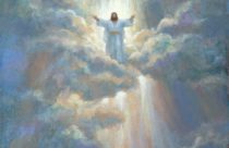 HOME - Divine Mercy Channel