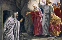 HOME - Divine Mercy Channel