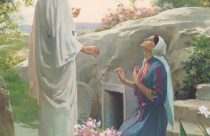 HOME - Divine Mercy Channel